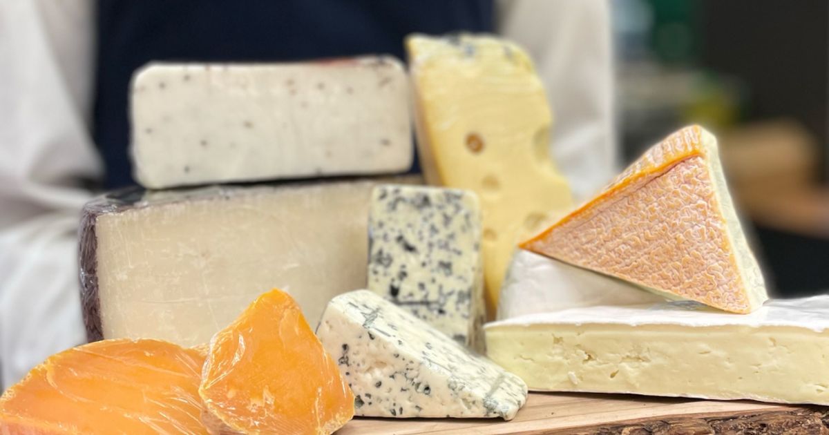 Опановуємо нові професії: Дія.Освіта та ProCheese презентують освітній ...